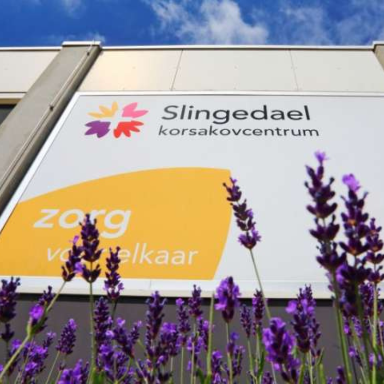 Zorgcomplex Slingedael Lelie zorggroep | Interdaad